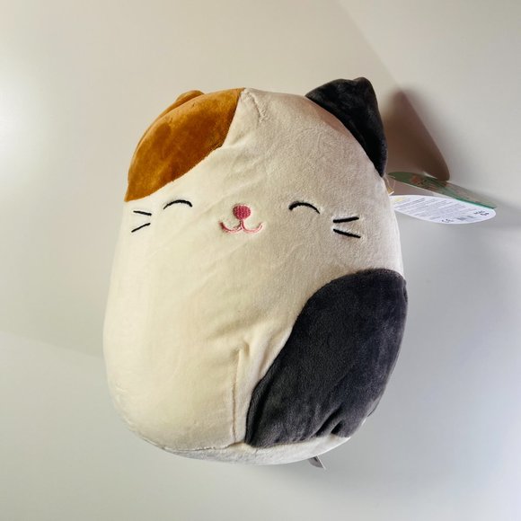 Squishmallows | Toys | 8 Cameron Cam The Cat Squishmallow Kellytoy ...